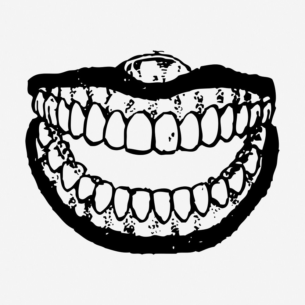 Human teeth drawing, illustration. Free | Free Photo - rawpixel
