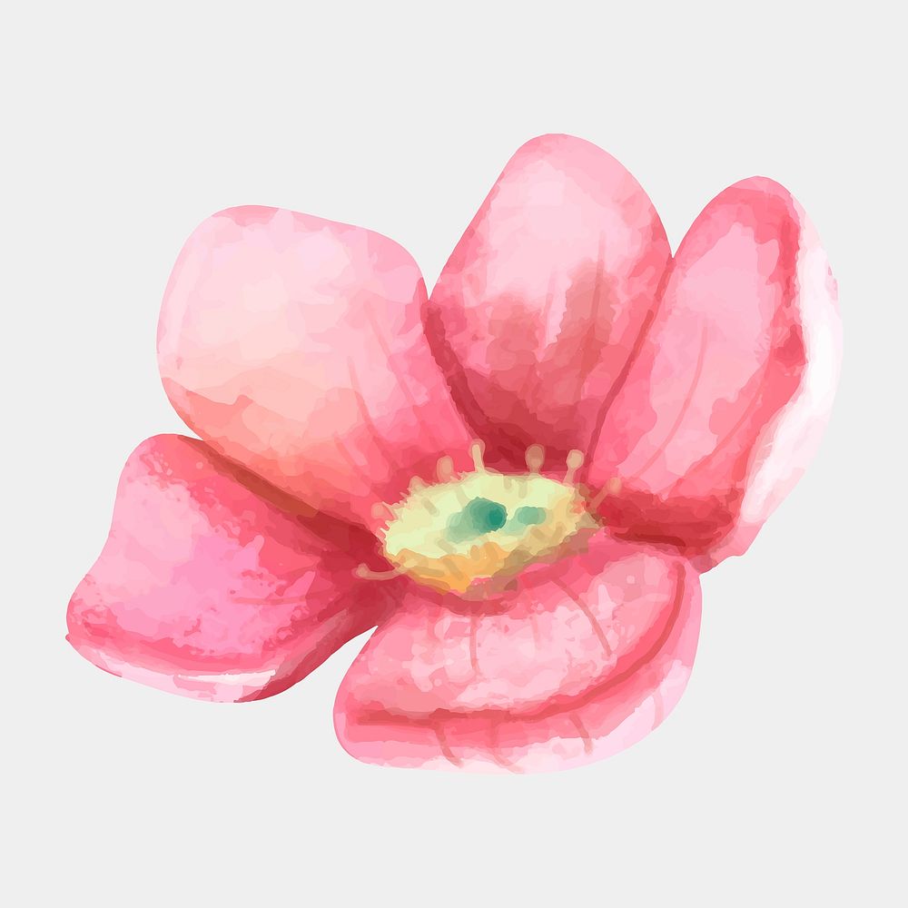 Pink flower drawing vector botanical | Premium Vector Illustration ...