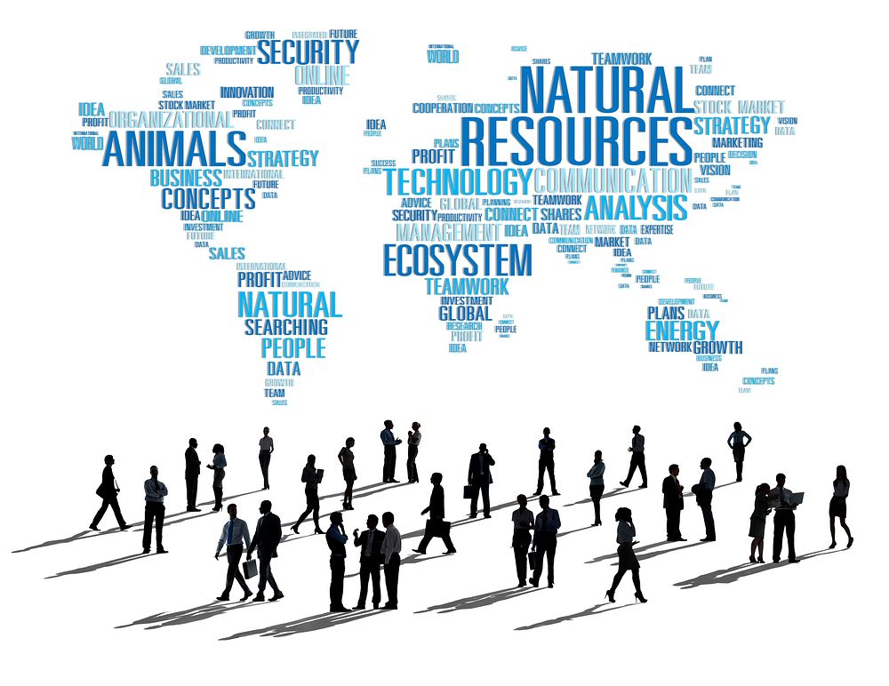 Business Ecosystem Images | Free Photos, PNG Stickers, Wallpapers ...