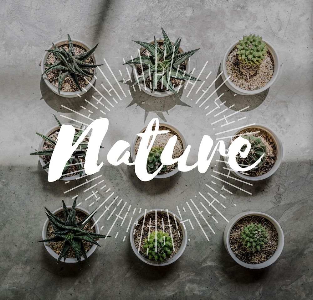Botanic Nature Plant Environmental Conservation | Free Photo - rawpixel
