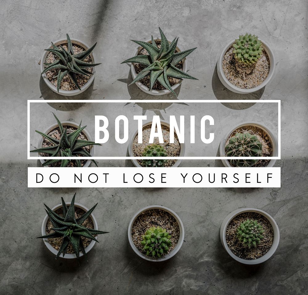 Botanic Nature Plant Environmental Conservation | Free Photo - rawpixel