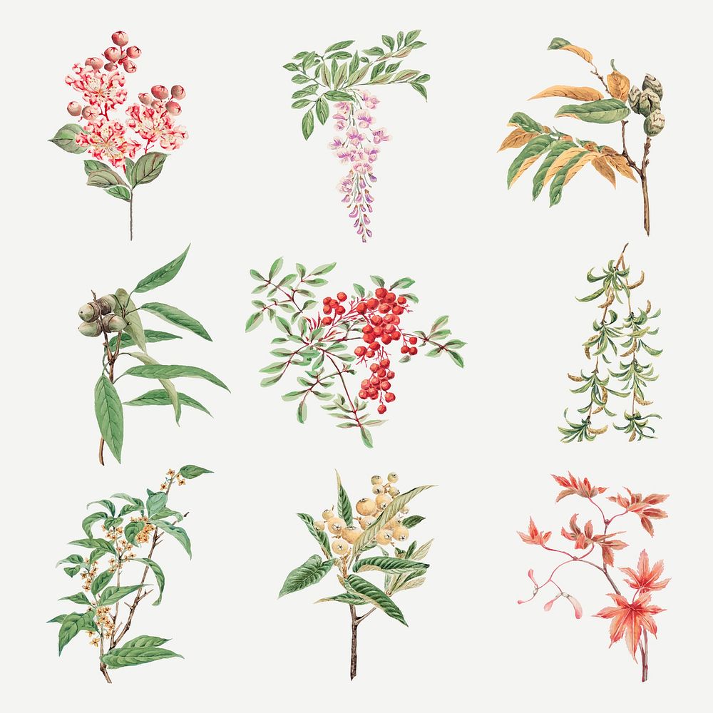 Vintage Japanese tree vector art | Premium Vector - rawpixel