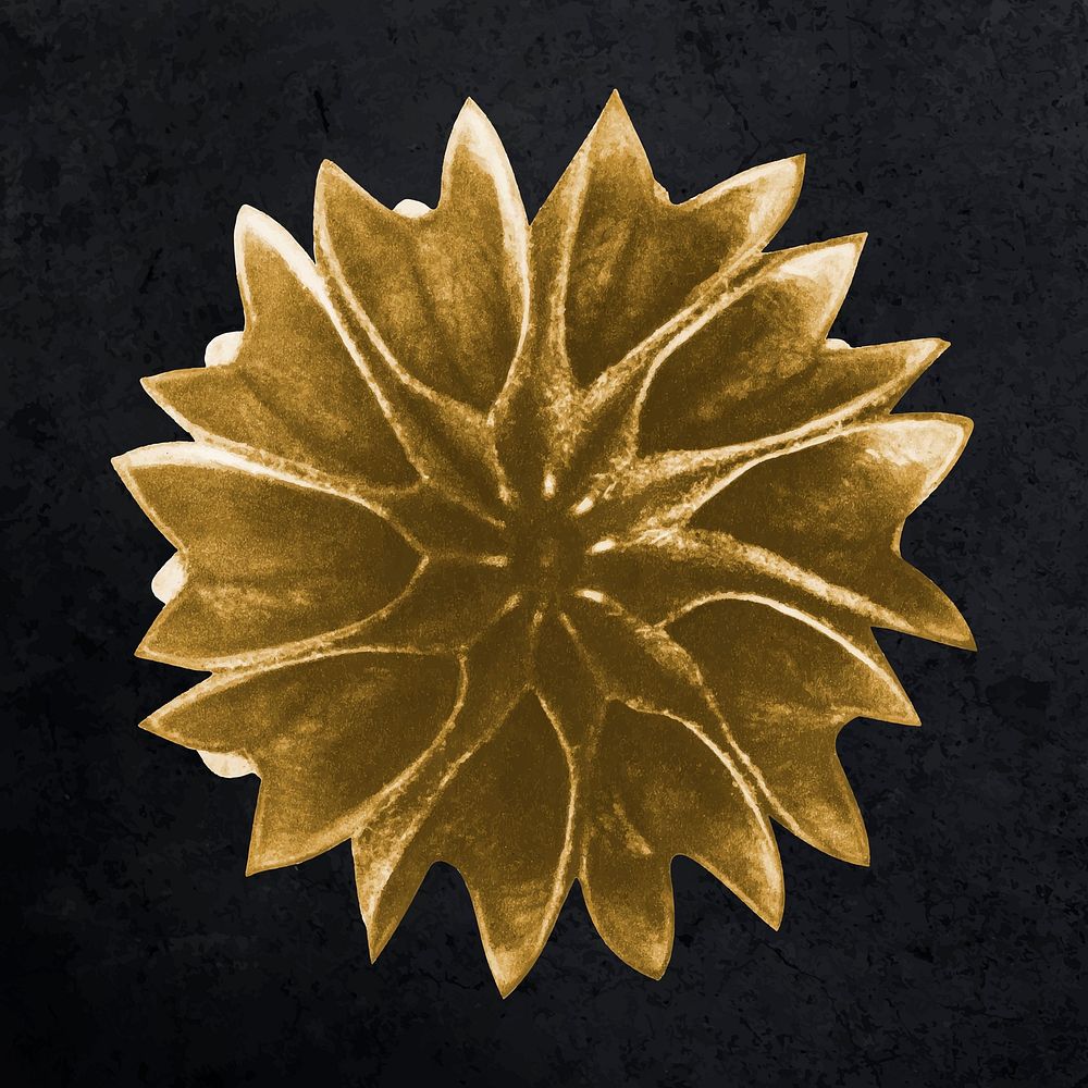 Abutilon (Lime Mallow) enlarged 12 | Premium Vector - rawpixel