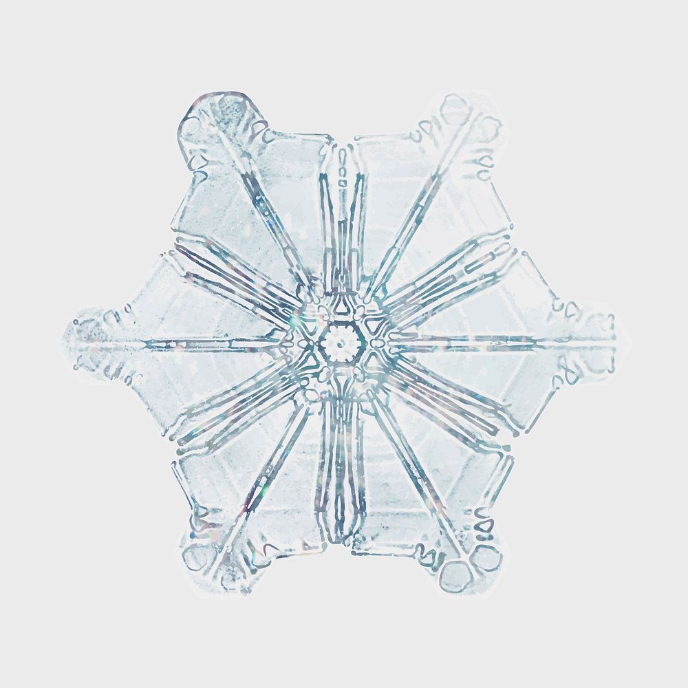 Icy snowflake vector macro photography, | Premium Vector - rawpixel
