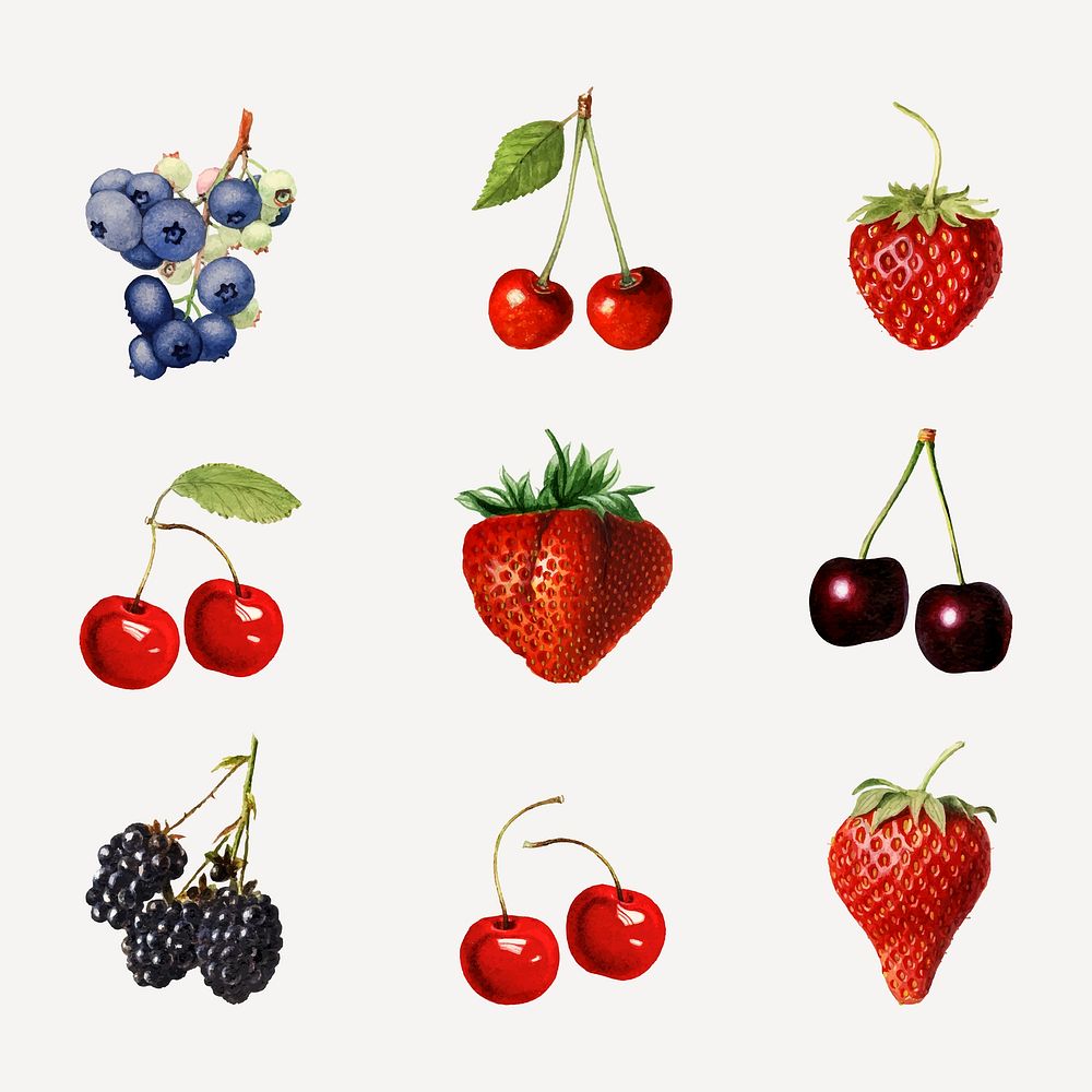 Hand drawn natural fresh mixed | Premium Vector - rawpixel