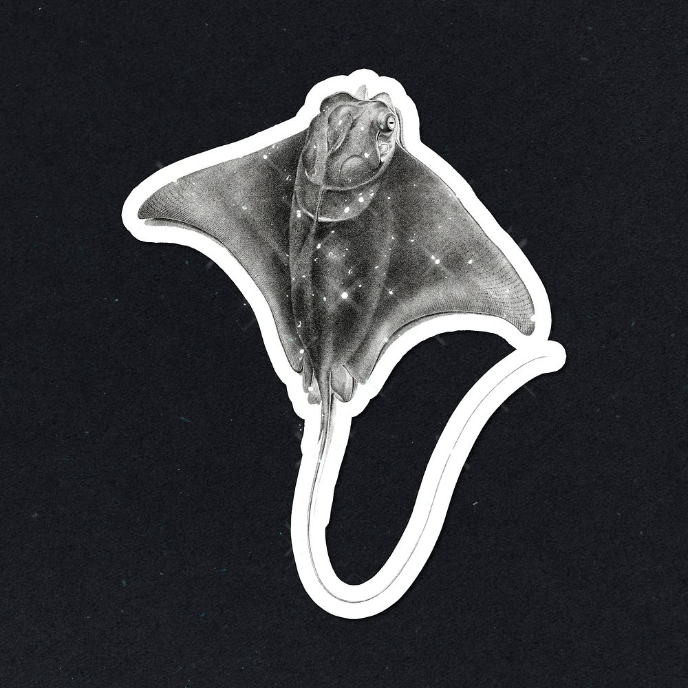 Hand drawn sparkling Mourine scalloped | Premium PSD - rawpixel