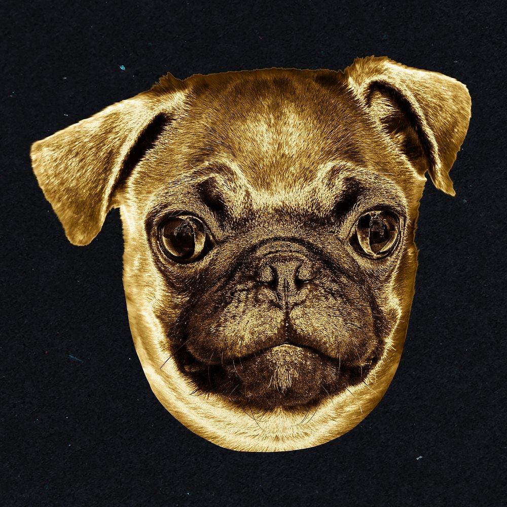 Gold pug puppy sticker design | Premium PSD - rawpixel
