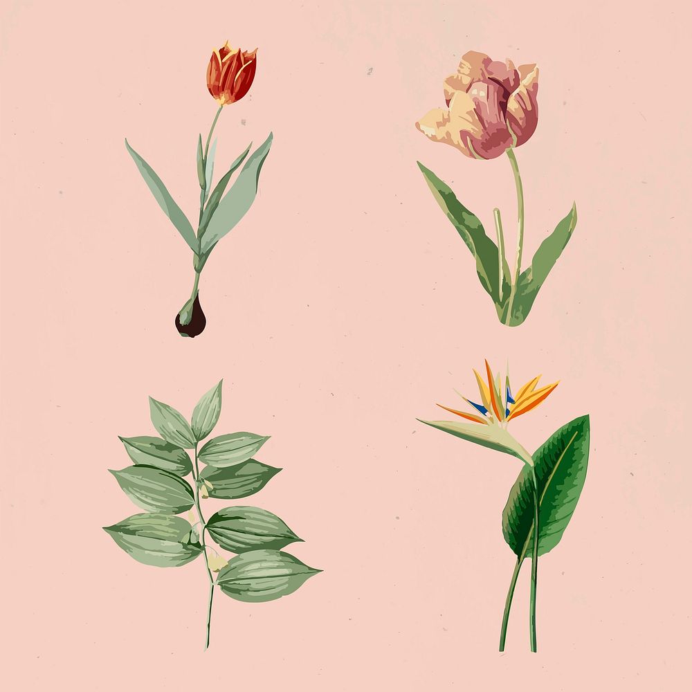 Vectorized flower sticker collection design | Premium Vector - rawpixel