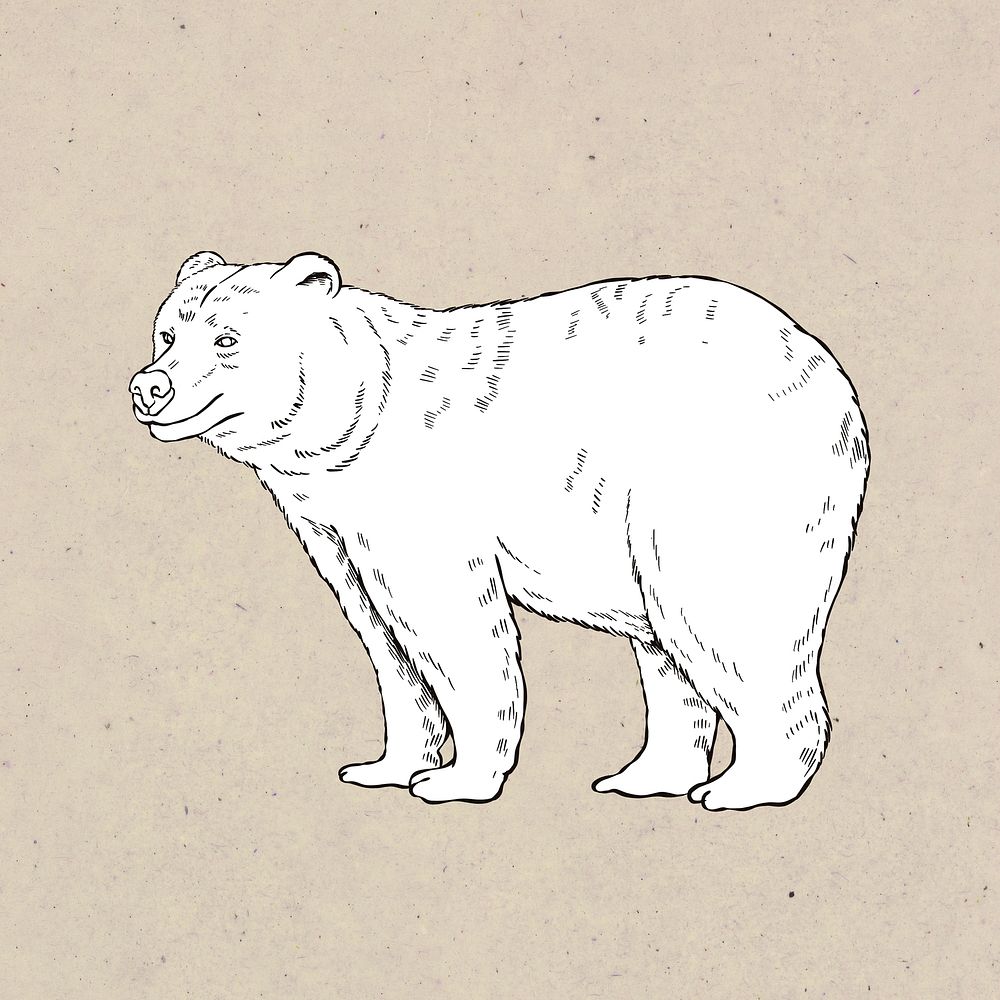 Hand drawn grizzly design element | Premium PSD - rawpixel