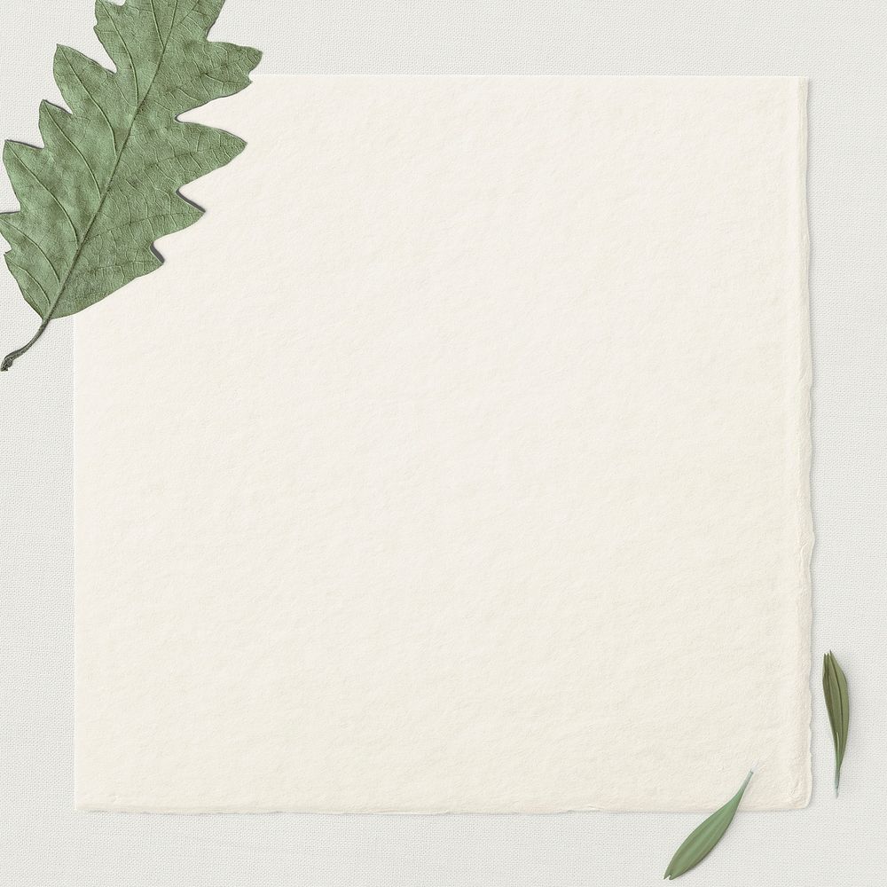Green oak leaf paper texture | Free Photo - rawpixel