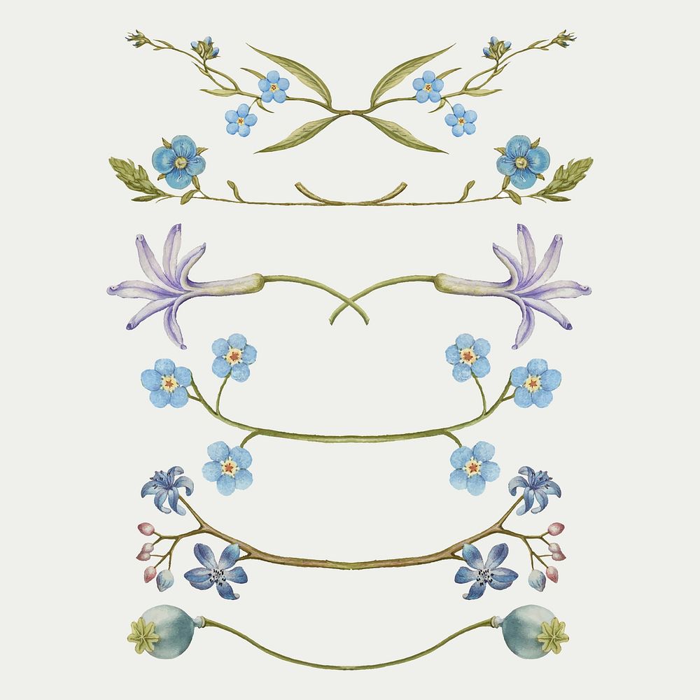 Blue flower divider flourish vector | Premium Vector - rawpixel
