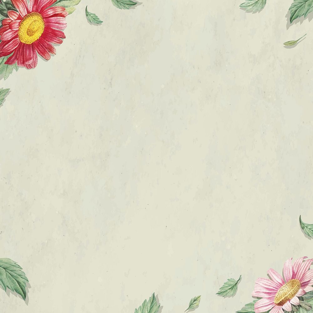 Gerbera daisy pattern frame vector | Premium Vector - rawpixel