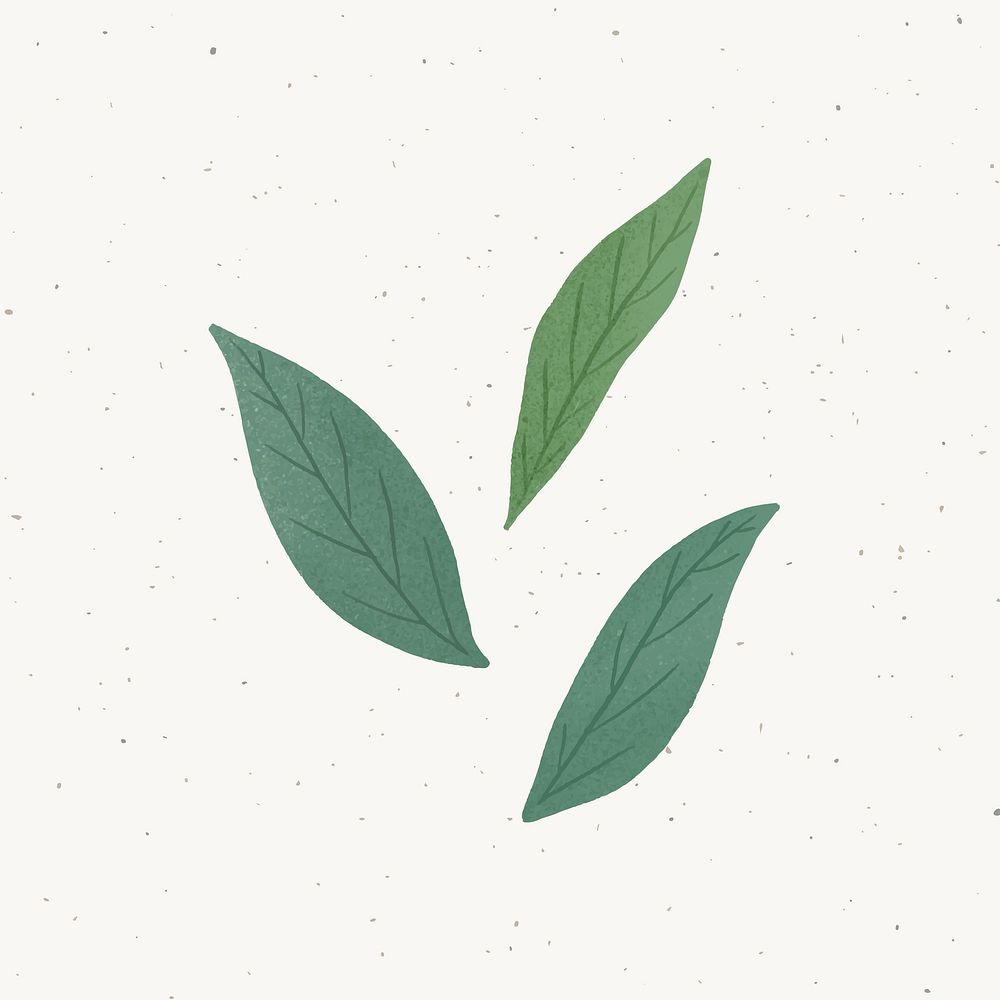 Three green leaves design element | Premium Vector - rawpixel