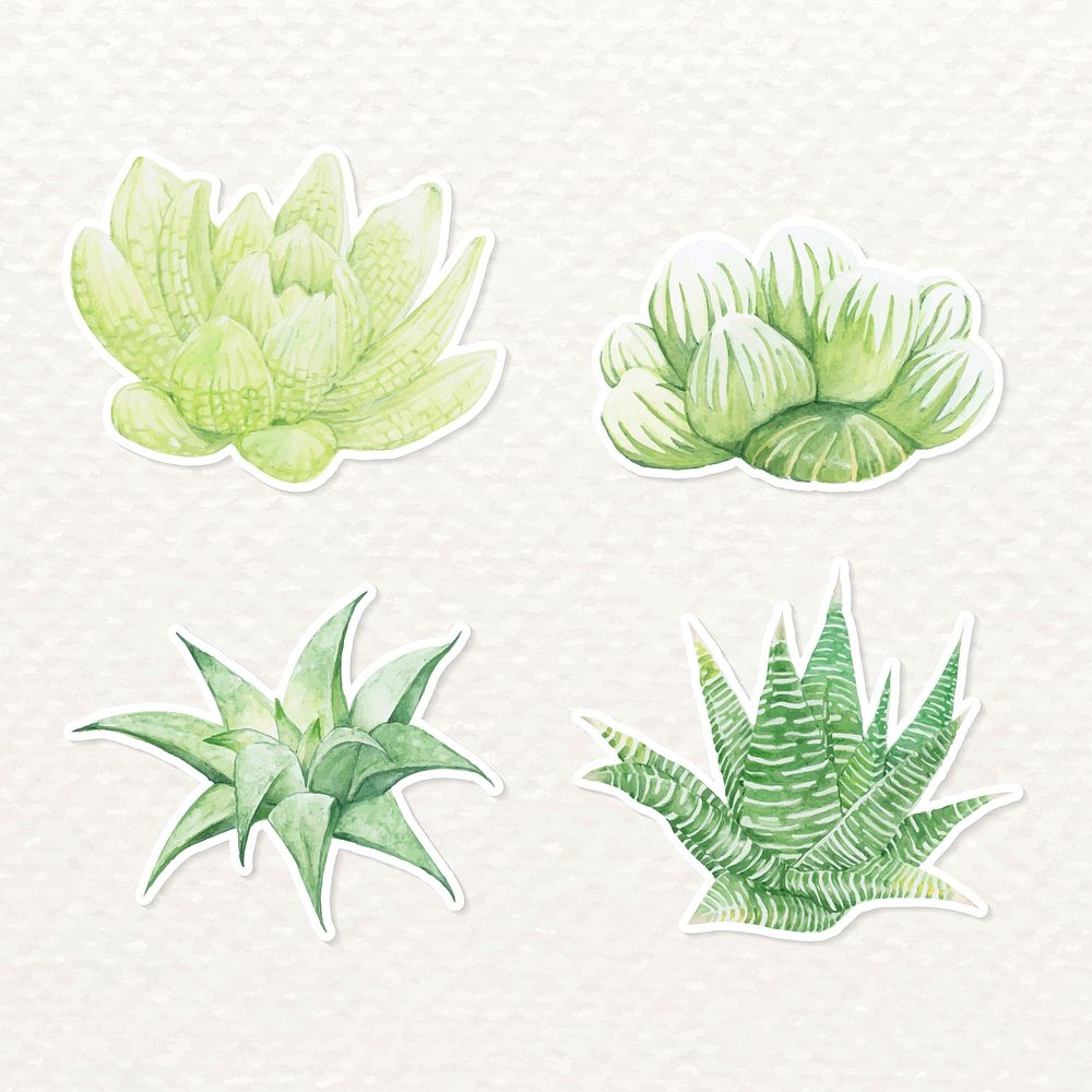 Succulent plant sticker vector set | Premium Vector - rawpixel