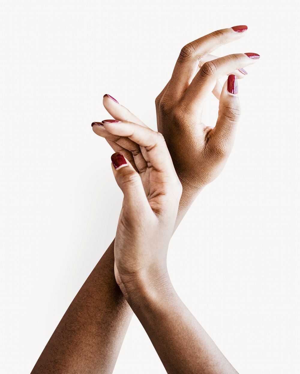 Feminine hands, aesthetic gesture design | Free Photo - rawpixel