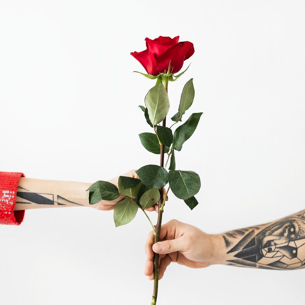 Man giving a rose to his | Free Photo - rawpixel