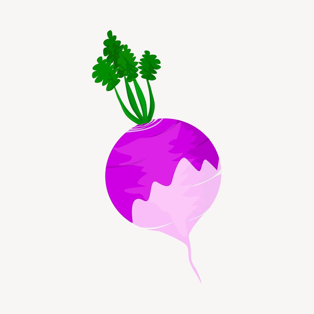 Purple Turnip clipart, illustration psd | Free PSD - rawpixel