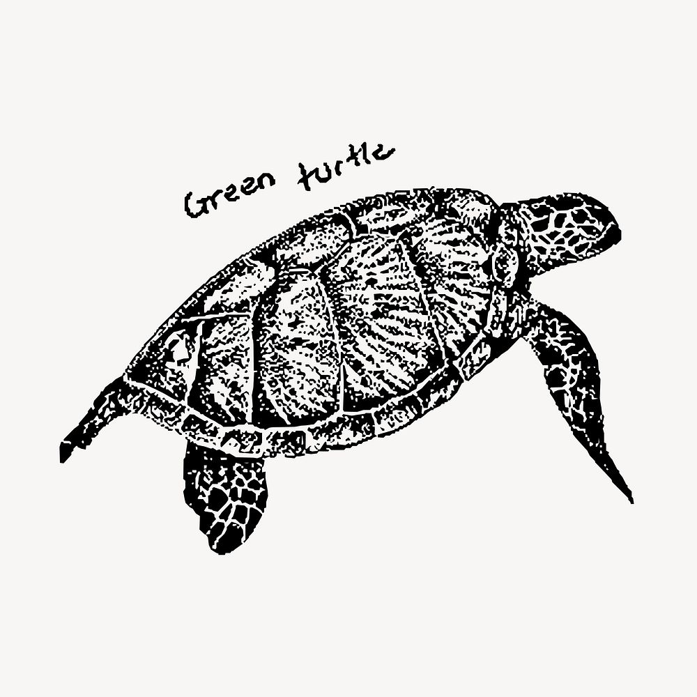 Green turtle clipart vector | Free Vector - rawpixel