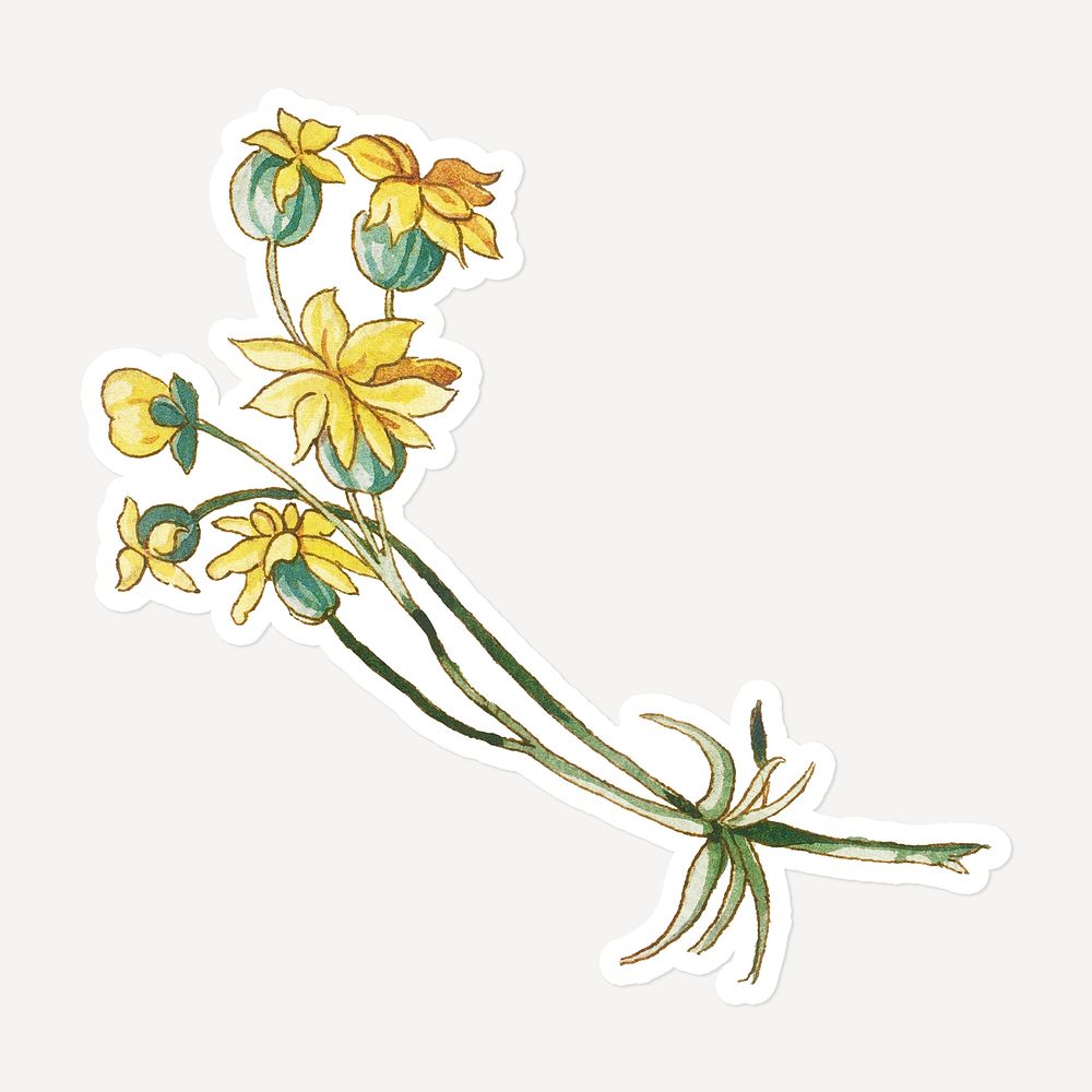 Vintage yellow flower sticker white | Premium PSD - rawpixel