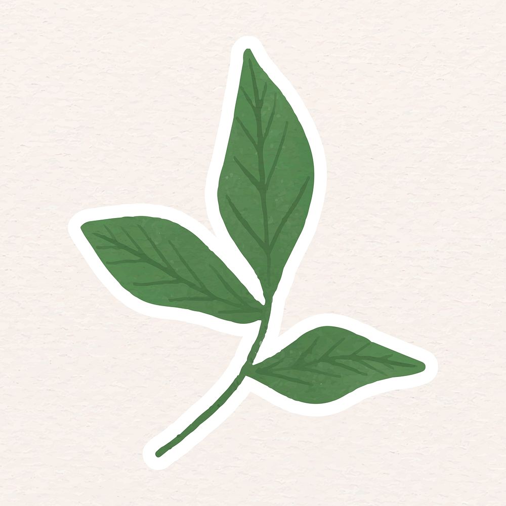 Green leaves sticker illustration | Premium Photo - rawpixel