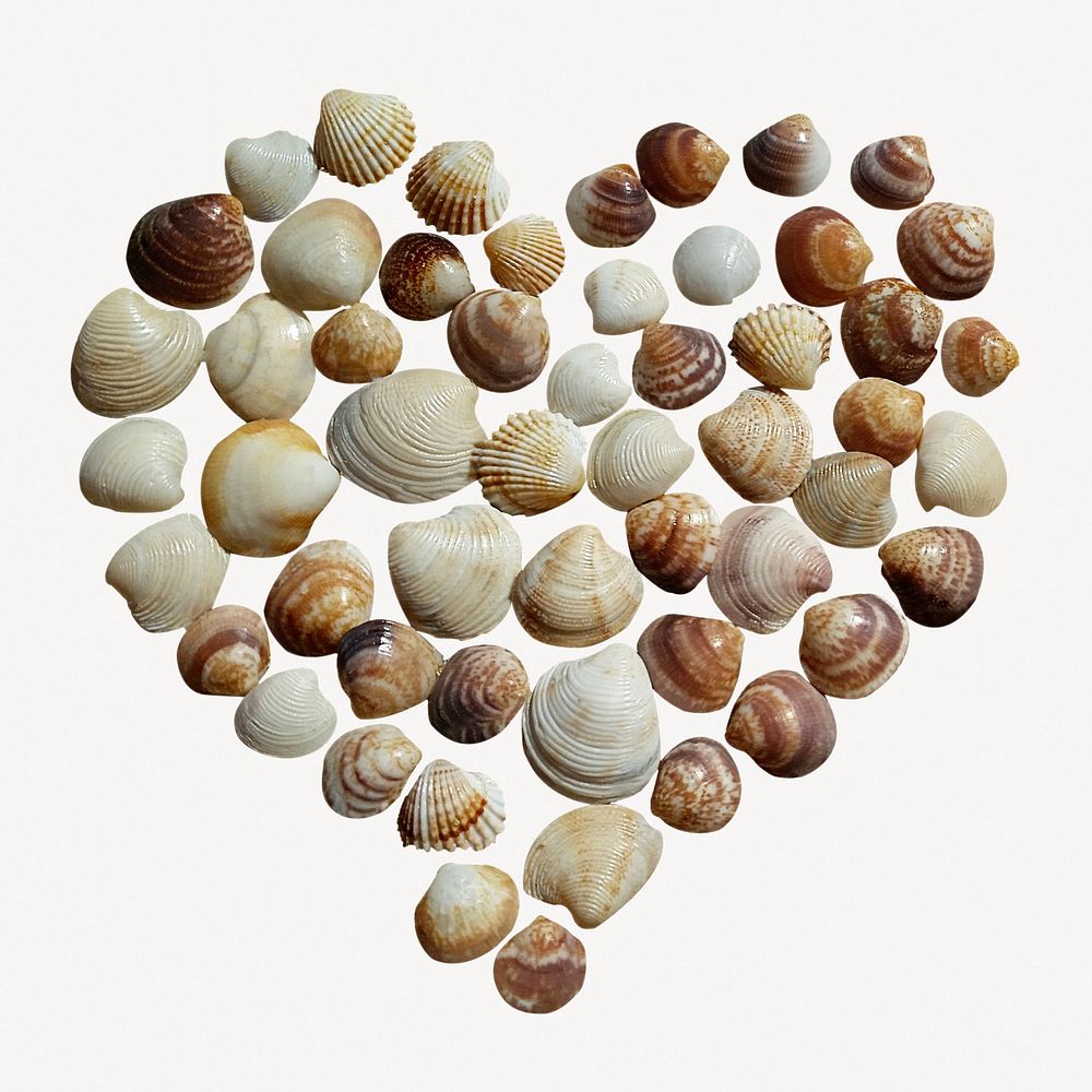 Heart shells collage element, summer | Premium PSD - rawpixel