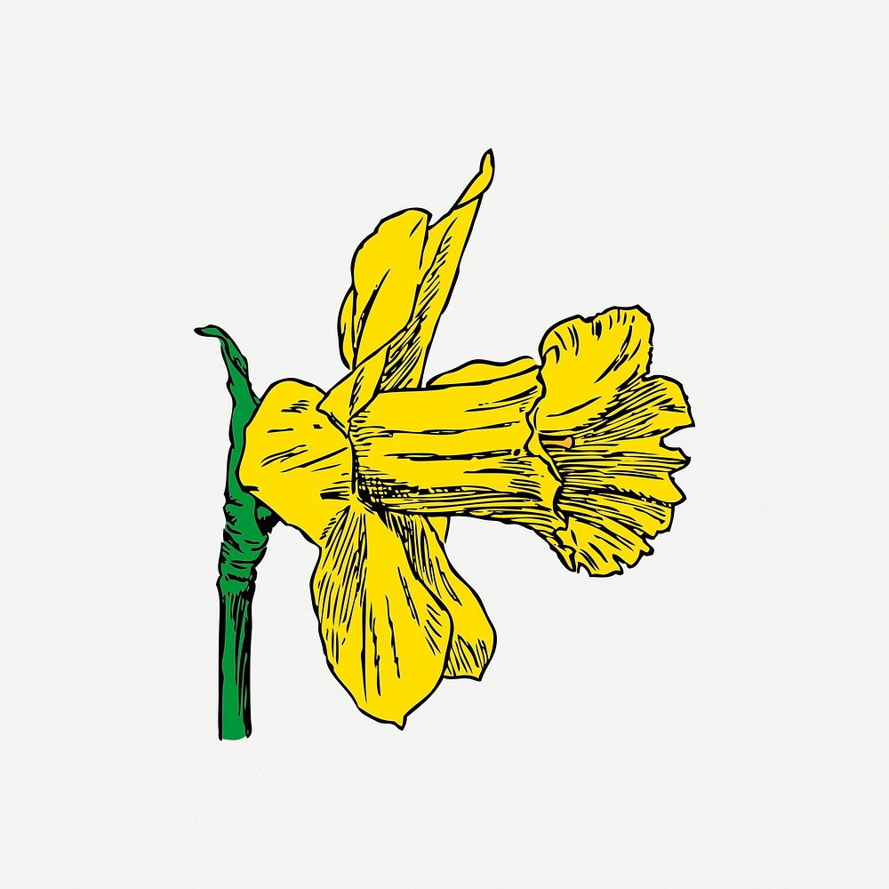 Flower collage element psd. Free | Free PSD - rawpixel