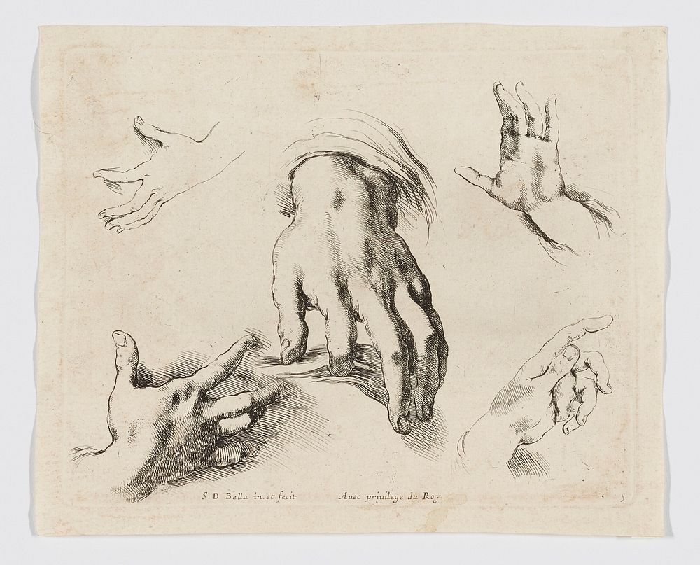 studies of four hands around central | Free Photo - rawpixel