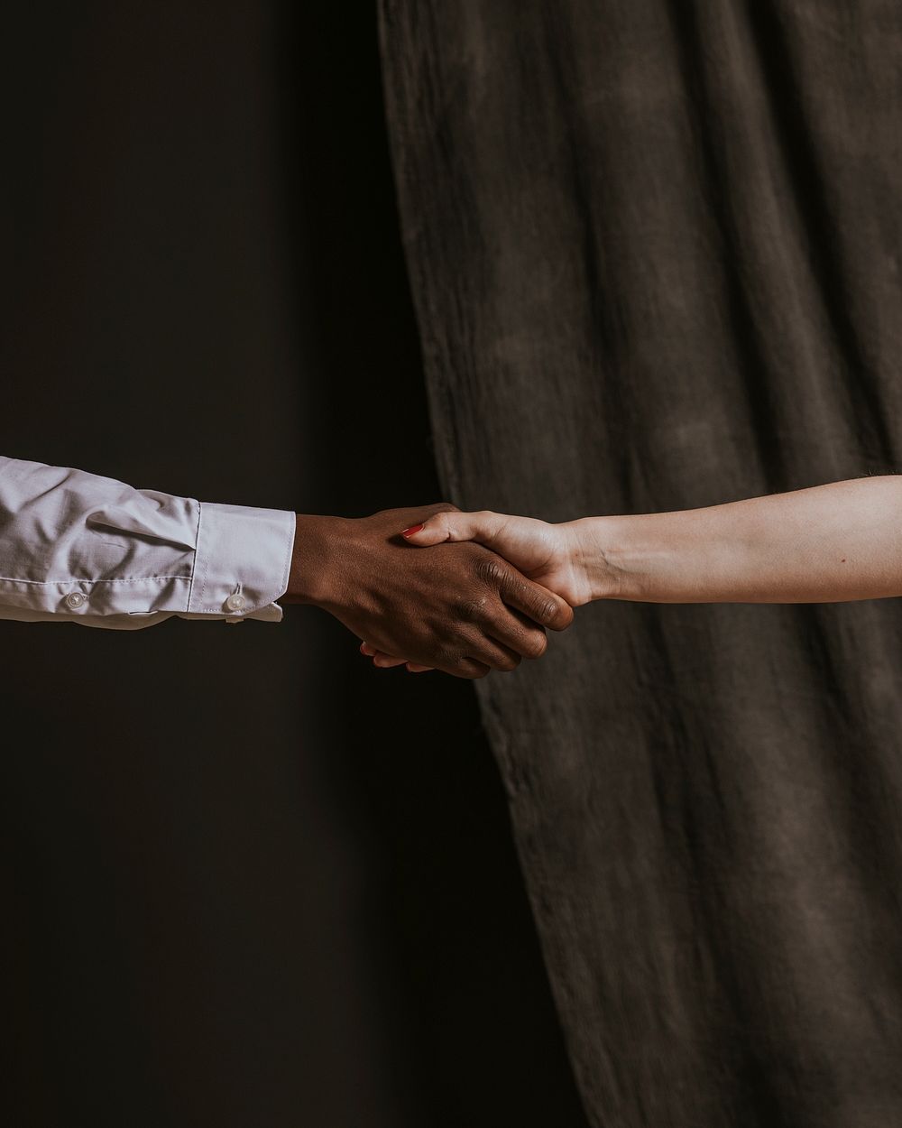 Diverse people shaking hands | Premium Photo - rawpixel