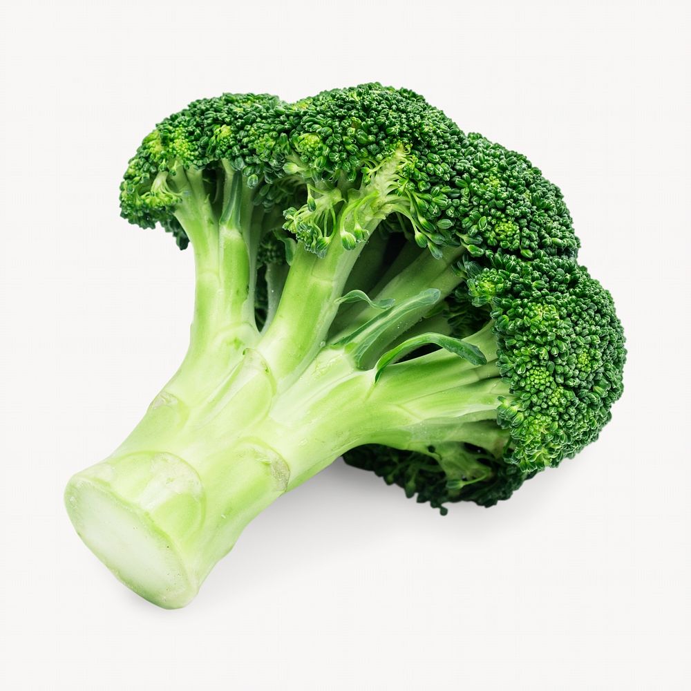 Broccoli vegetable, isolated food image | Free Photo - rawpixel