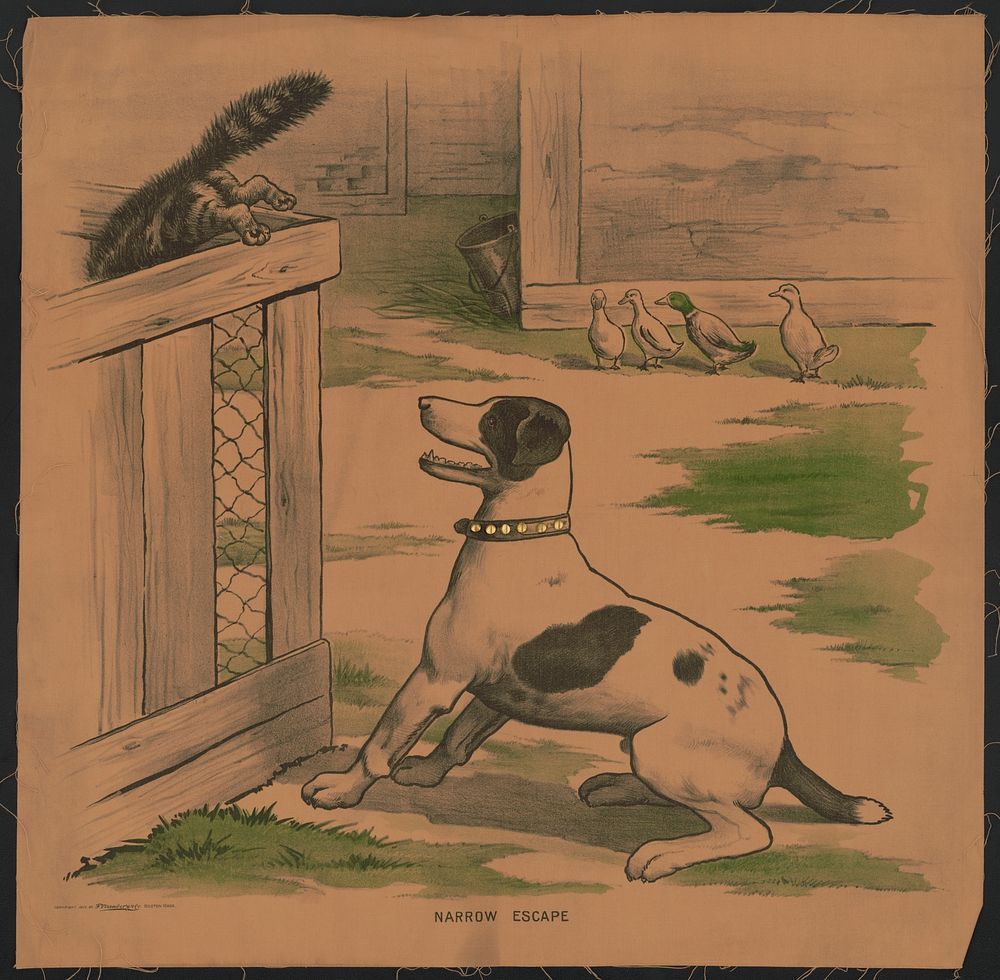 Narrow escape | Free Photo - rawpixel