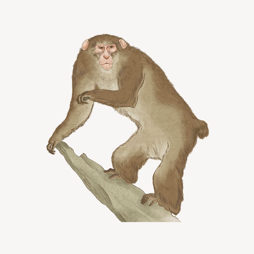 Japanese monkey, vintage wildlife illustration | Premium Photo ...