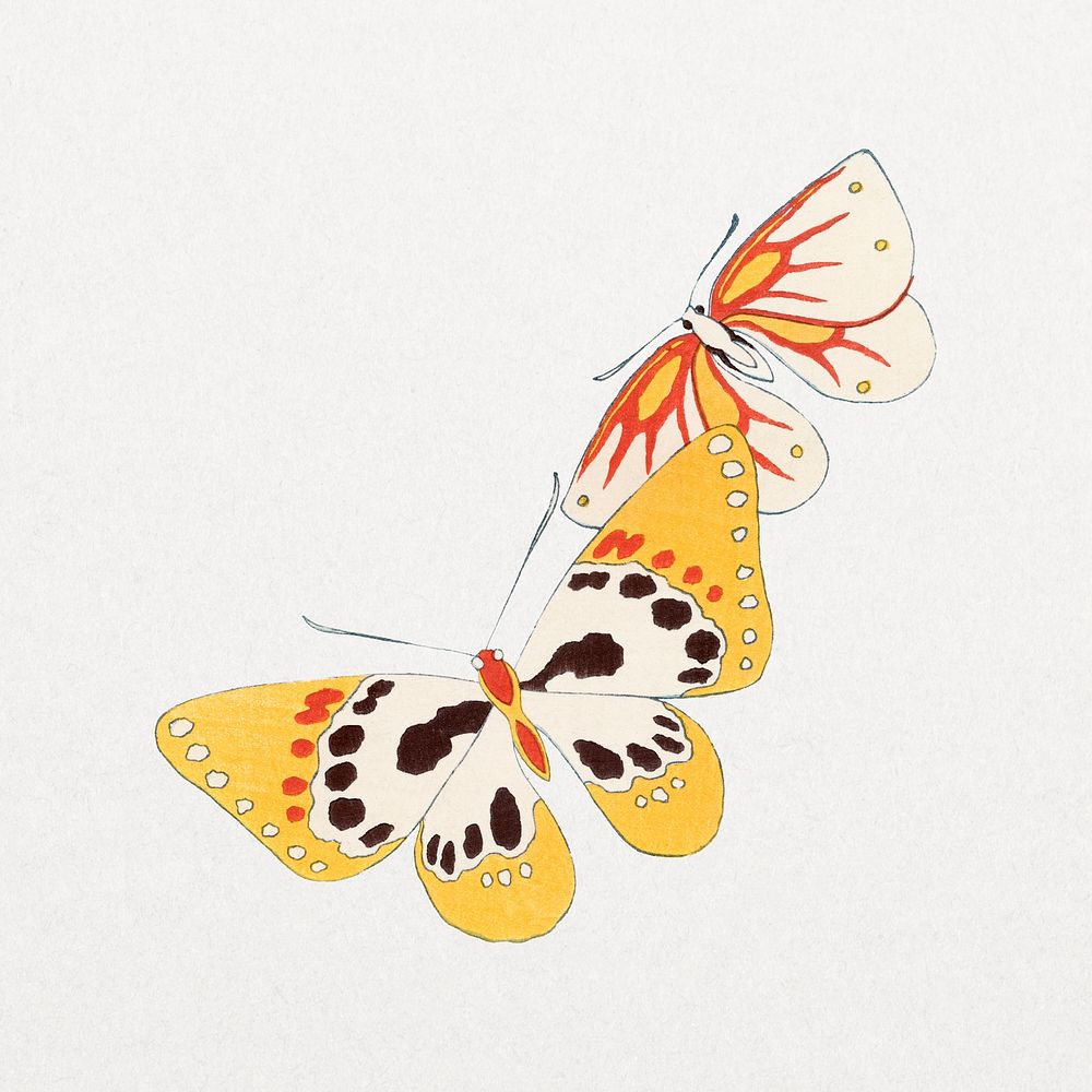 Vintage butterflies, isolated insect illustration | Premium Photo ...