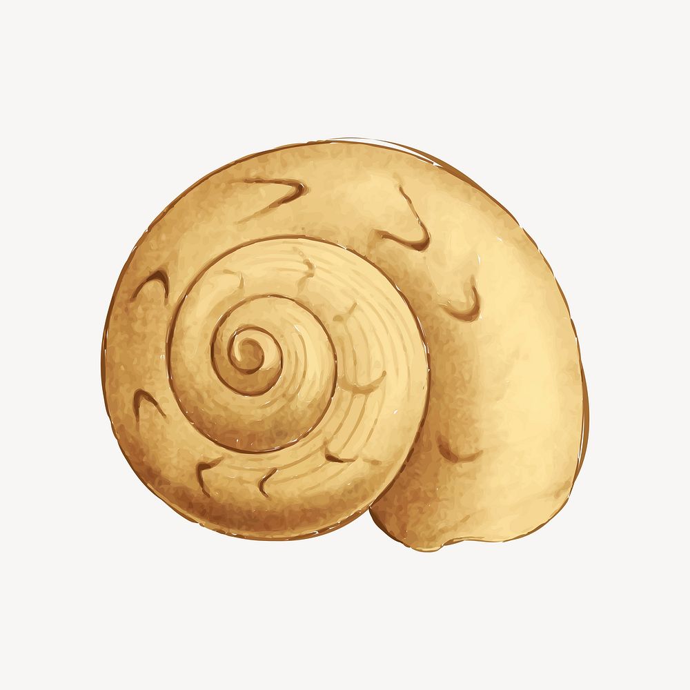 Moon shell clipart vector | Free Vector - rawpixel