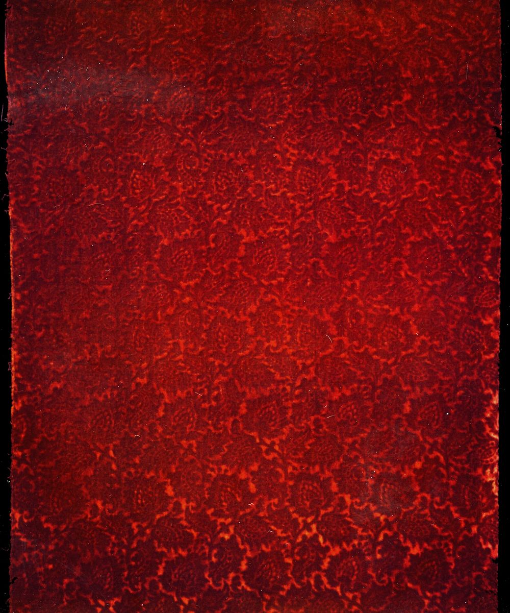 Elegant red floral pattern | Free Photo Illustration - rawpixel