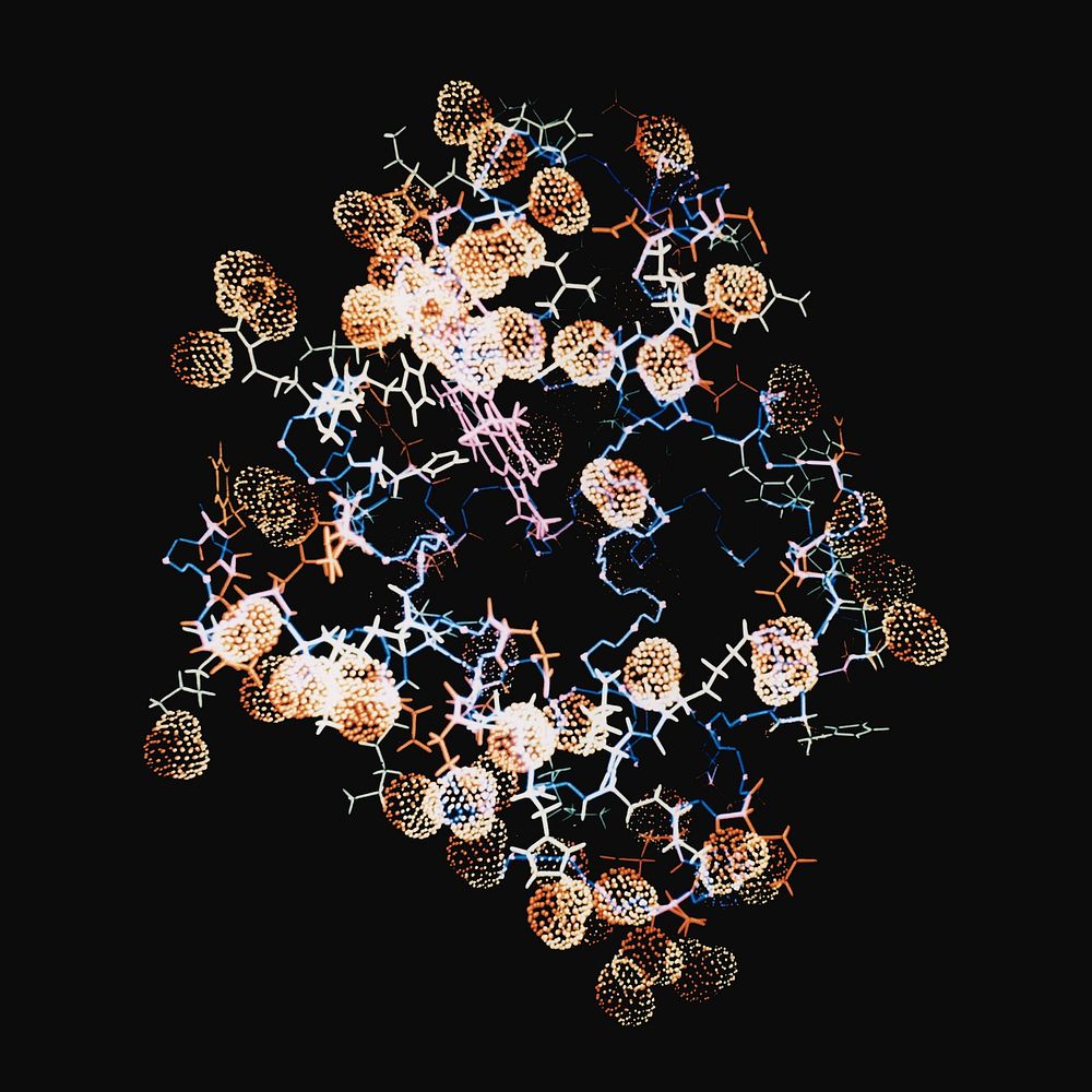 Hydrated carbon monoxide myoglobin collage | Free Photo - rawpixel