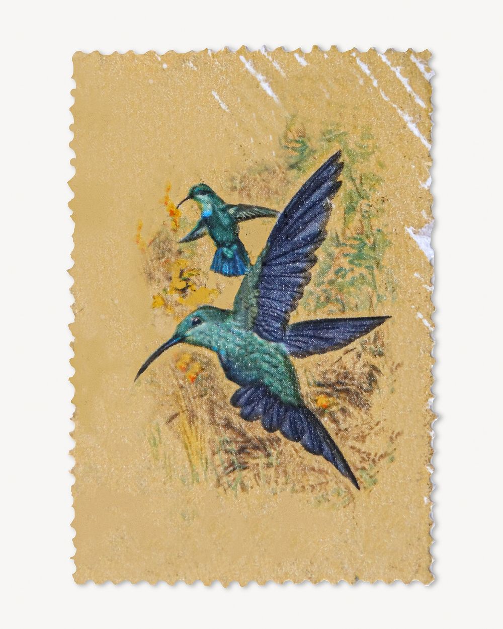 Bird postage stamp isolated image | Free Photo - rawpixel