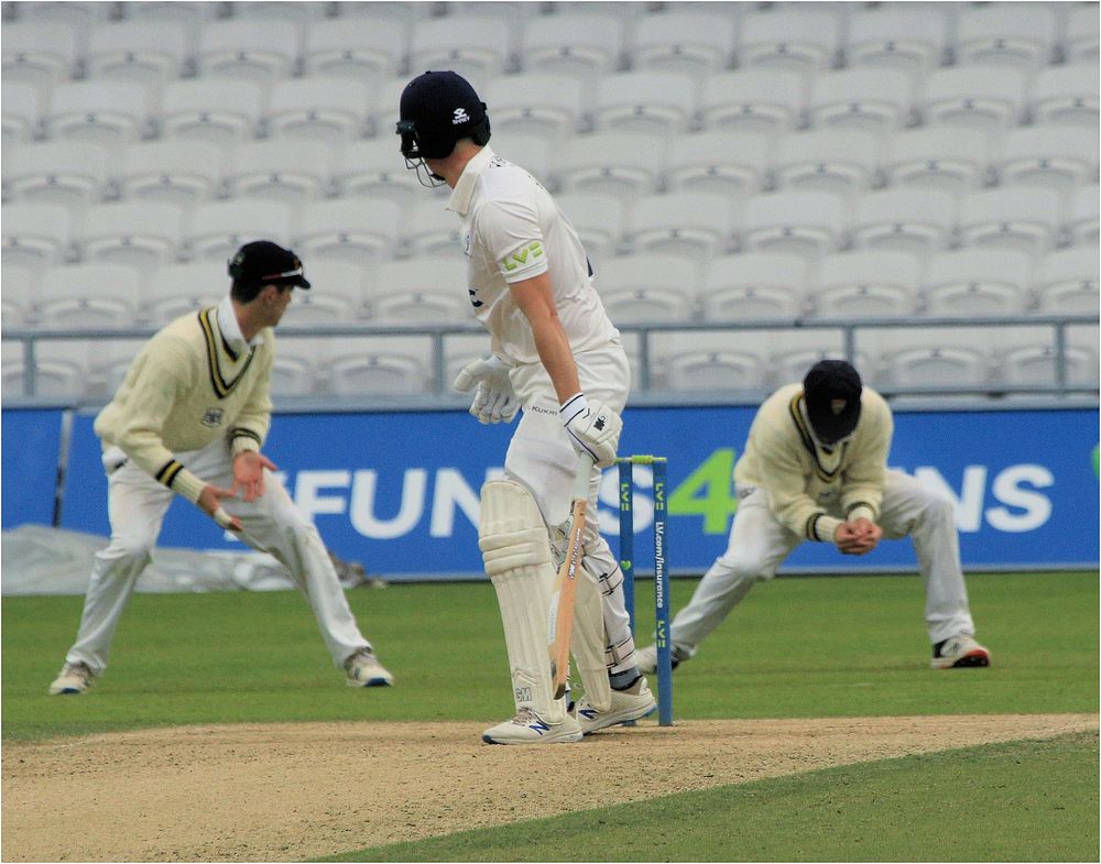 Cricket game, team sports. | Free Photo - rawpixel