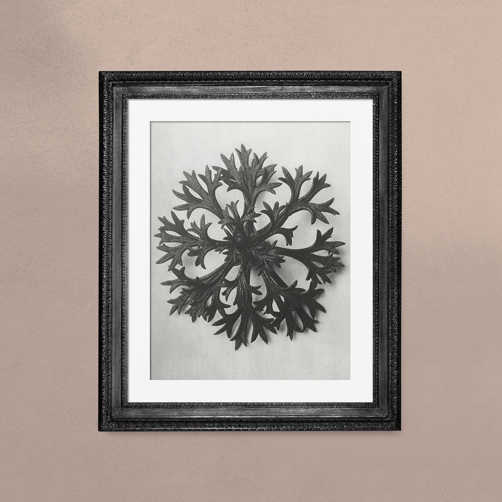 Antique picture frame mockup psd | Premium PSD Mockup - rawpixel