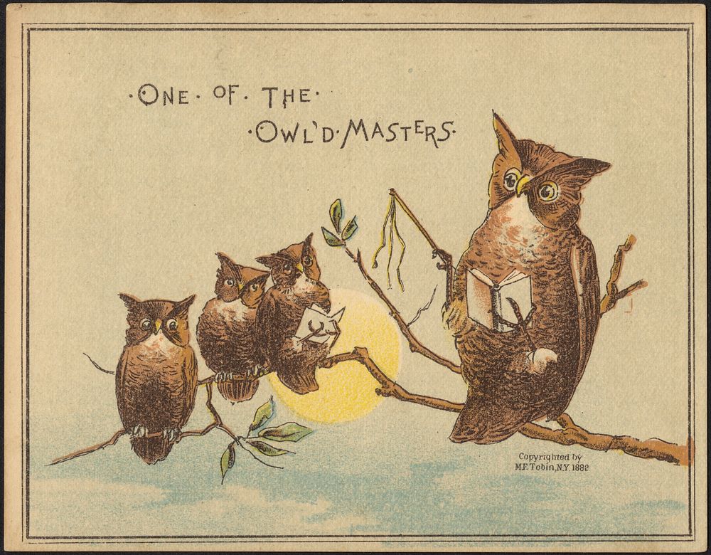 One owl'd masters. | Free Photo - rawpixel