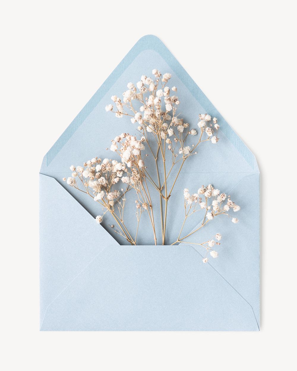 Blue envelope flowers isolated image | Free Photo - rawpixel
