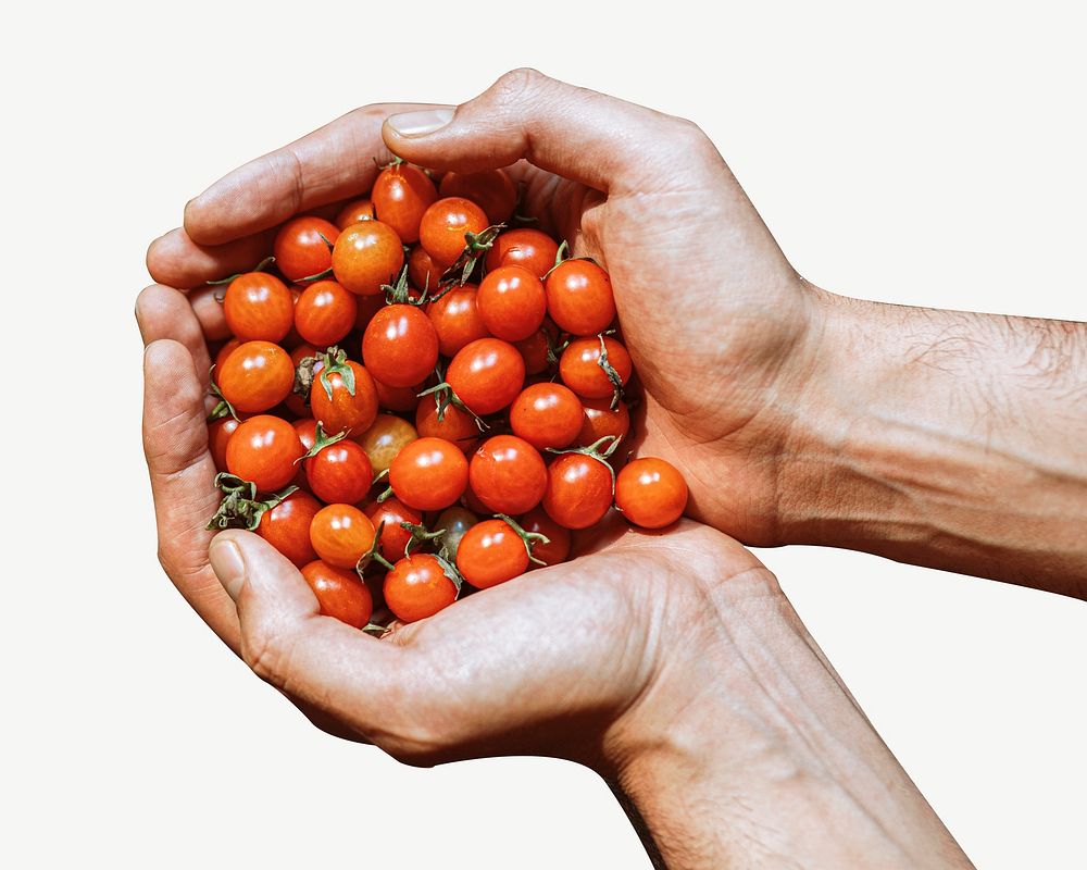 Handful cherry tomatoes collage element, | Premium PSD - rawpixel