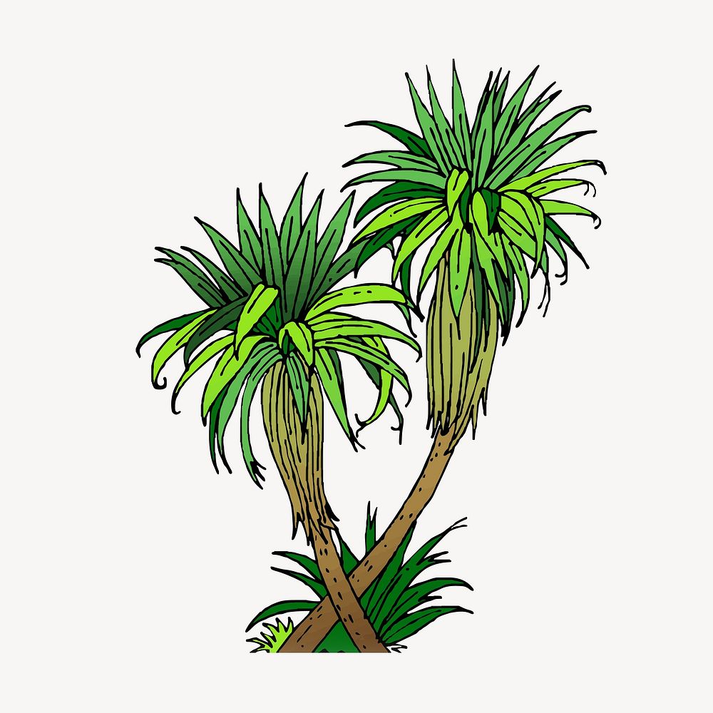 Cabbage tree clipart illustration vector | Free Vector - rawpixel