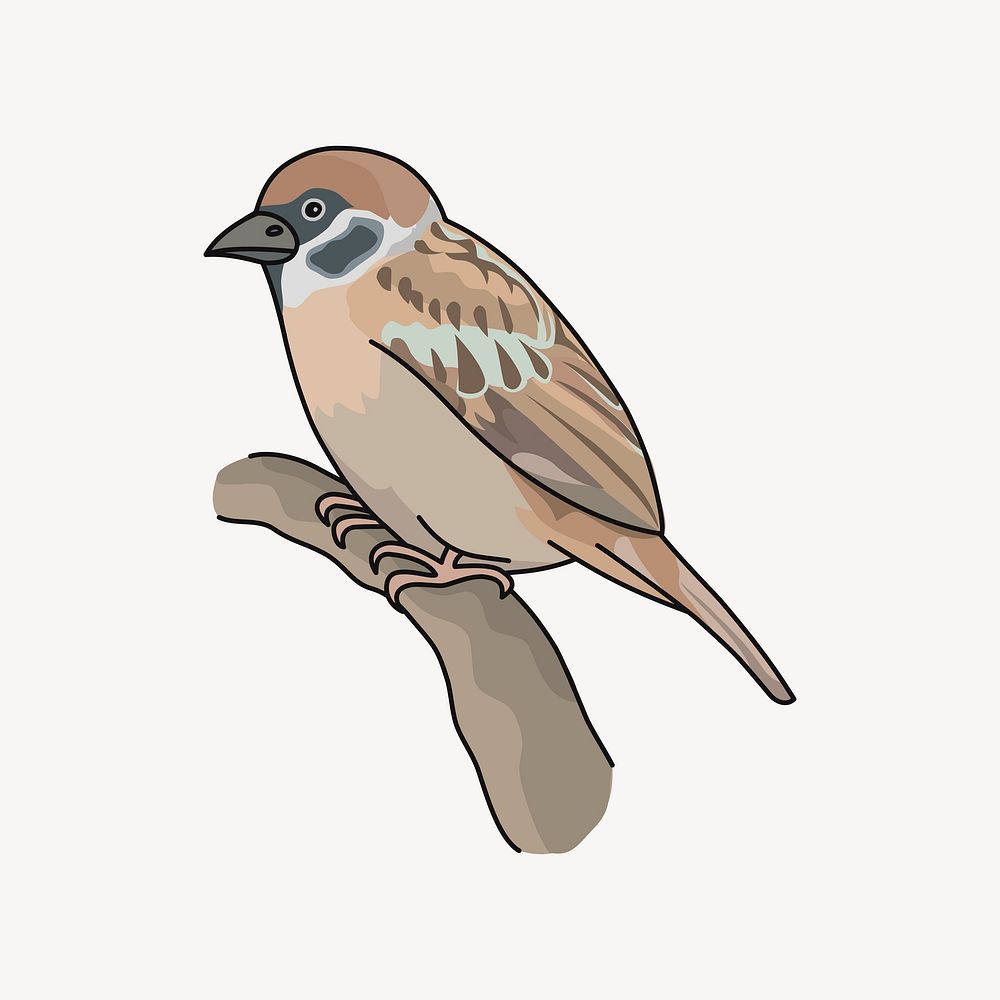 Sparrow bird clipart, illustration vector | Free Vector - rawpixel