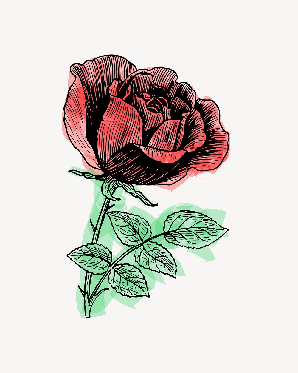 Vintage rose clipart vector. Free | Free Vector - rawpixel