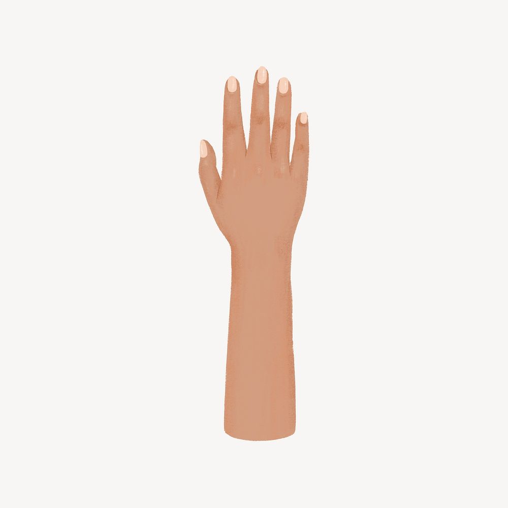 Woman's tanned hand, gesture illustration | Premium Photo - rawpixel