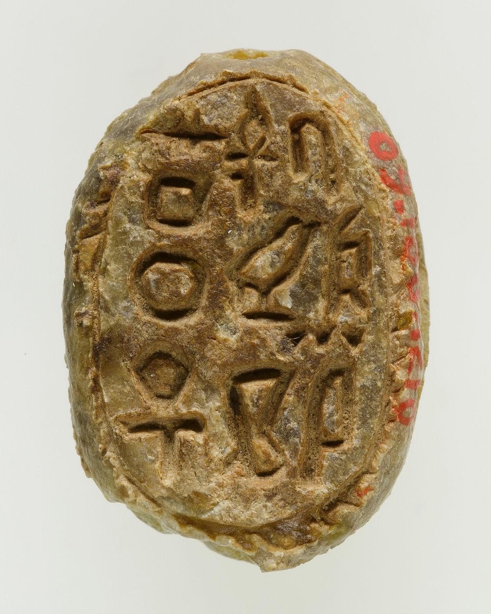 Scarab of an Official | Free Photo - rawpixel