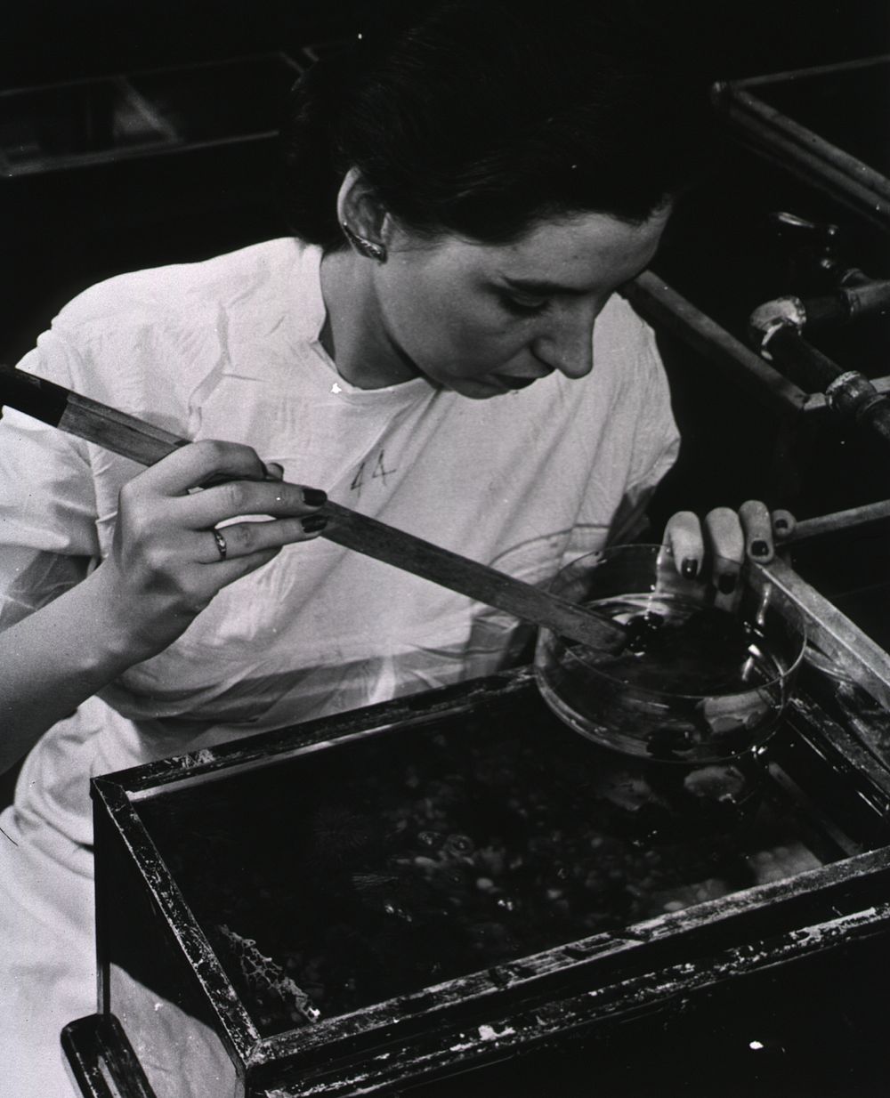 Sample Public Domain Images | Free Photos, PNG Stickers, Wallpapers ...