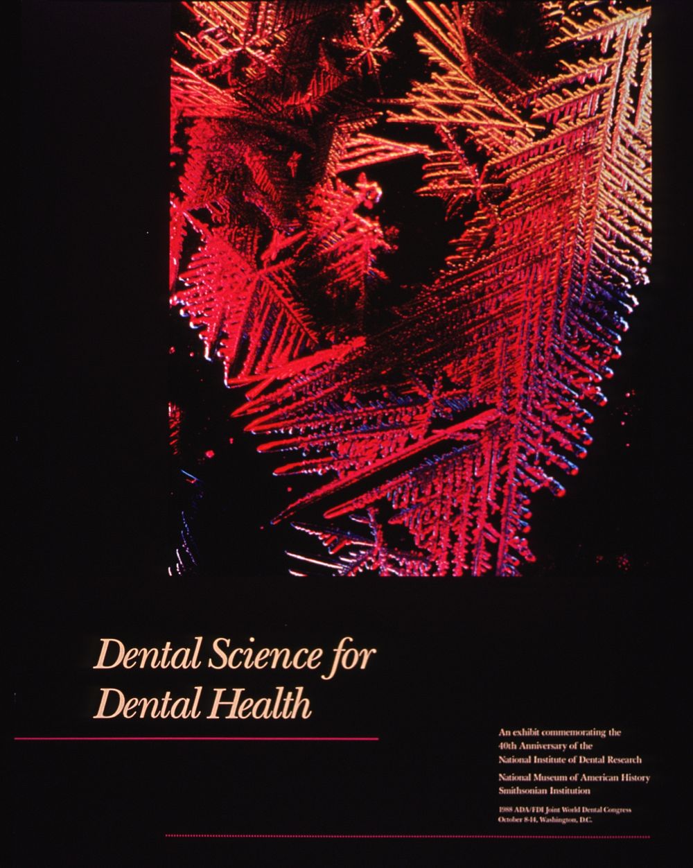 Exhibition Posters TIFF Images | Free Photos, PNG Stickers, Wallpapers ...