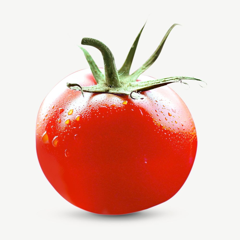 Fresh Tomato collage element psd | Premium PSD - rawpixel