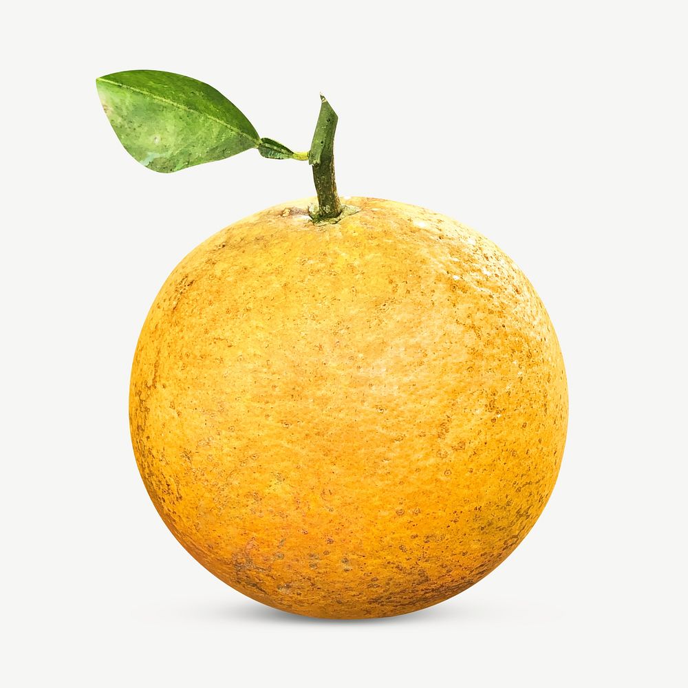 Fresh Valencia orange psd collage | Free PSD - rawpixel